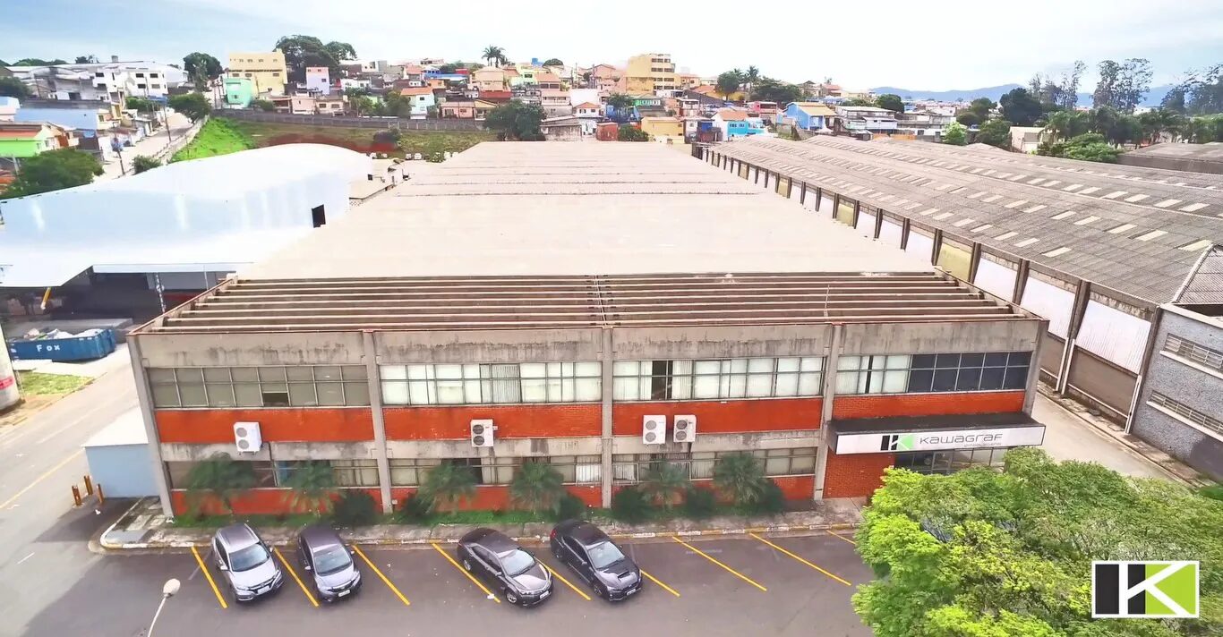 Brazil – Panda Game Manufacturing